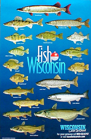 'Off the Chain' Fishing in Wisconsin's Northwoods | Hiawatha Lodge & Inn